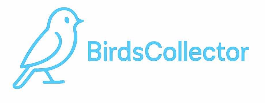 Cockatiel Care: A Complete Beginner’s Guide – Birds Collector